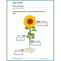 NDLI: Parts of a Plant