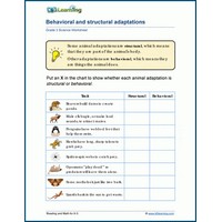 NDLI: Behavioral Adaptations