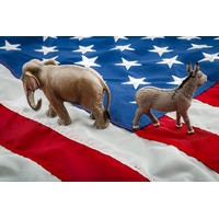 NDLI: What is Obstructionism?